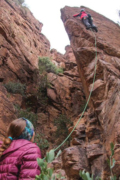 Rock Climb Mickey Mouse, Central Arizona