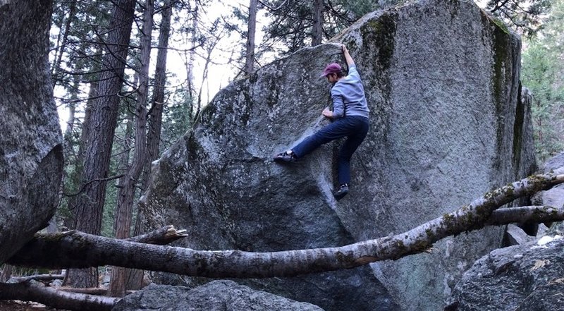 Climbing in Angler Boulder, Yosemite National Park