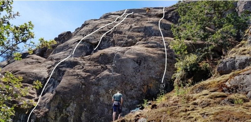 Rock Climbing in Victoria, British Columbia