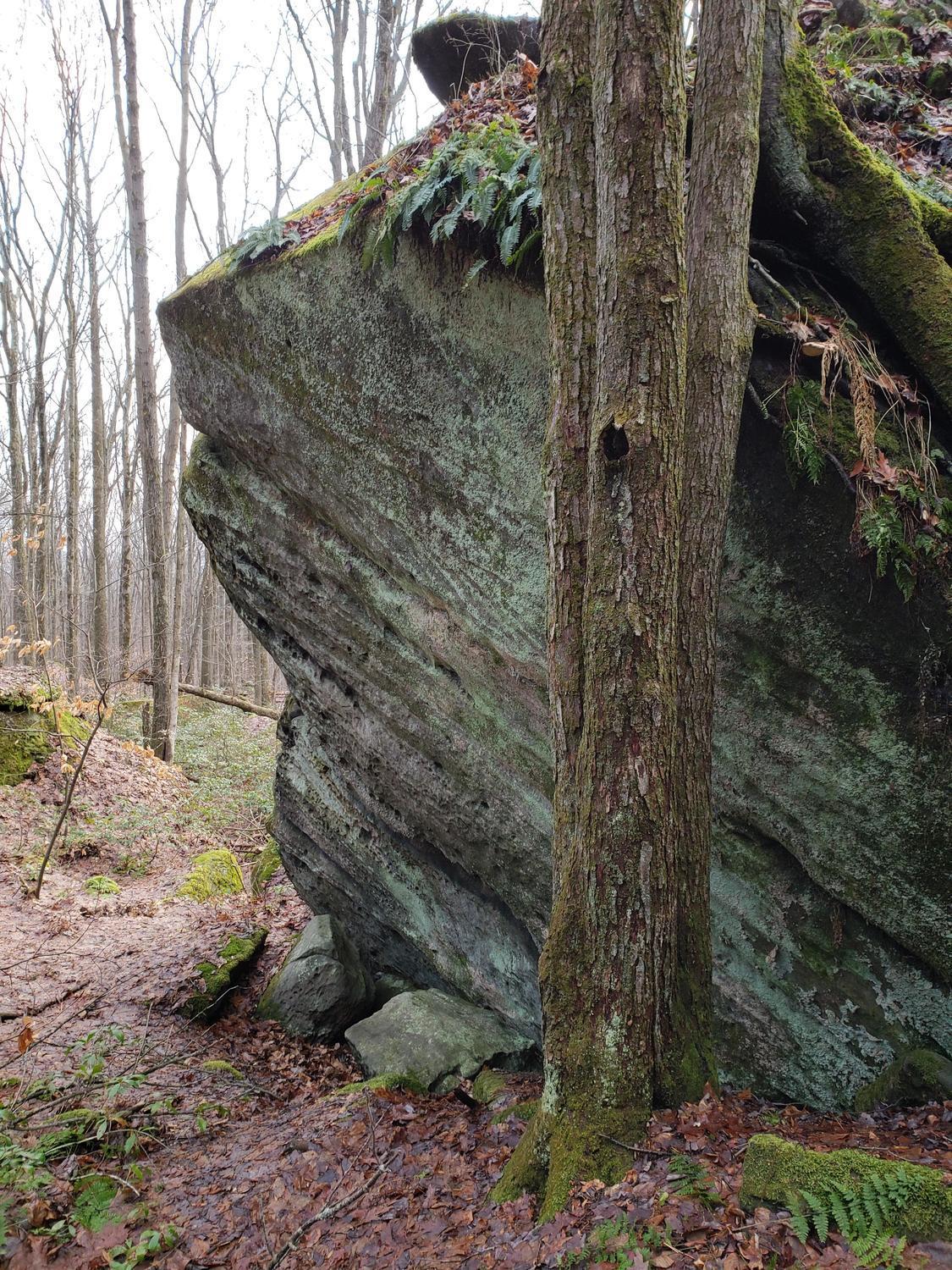 That's a nice boulder.