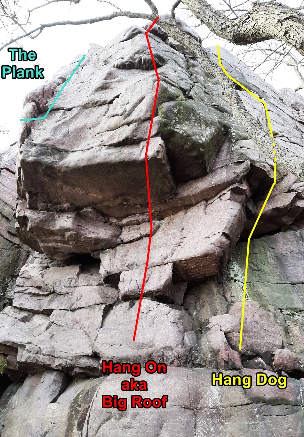 Hang Dog, Big Roof. Burt has posted nice pics of 2 variations of Hang ...