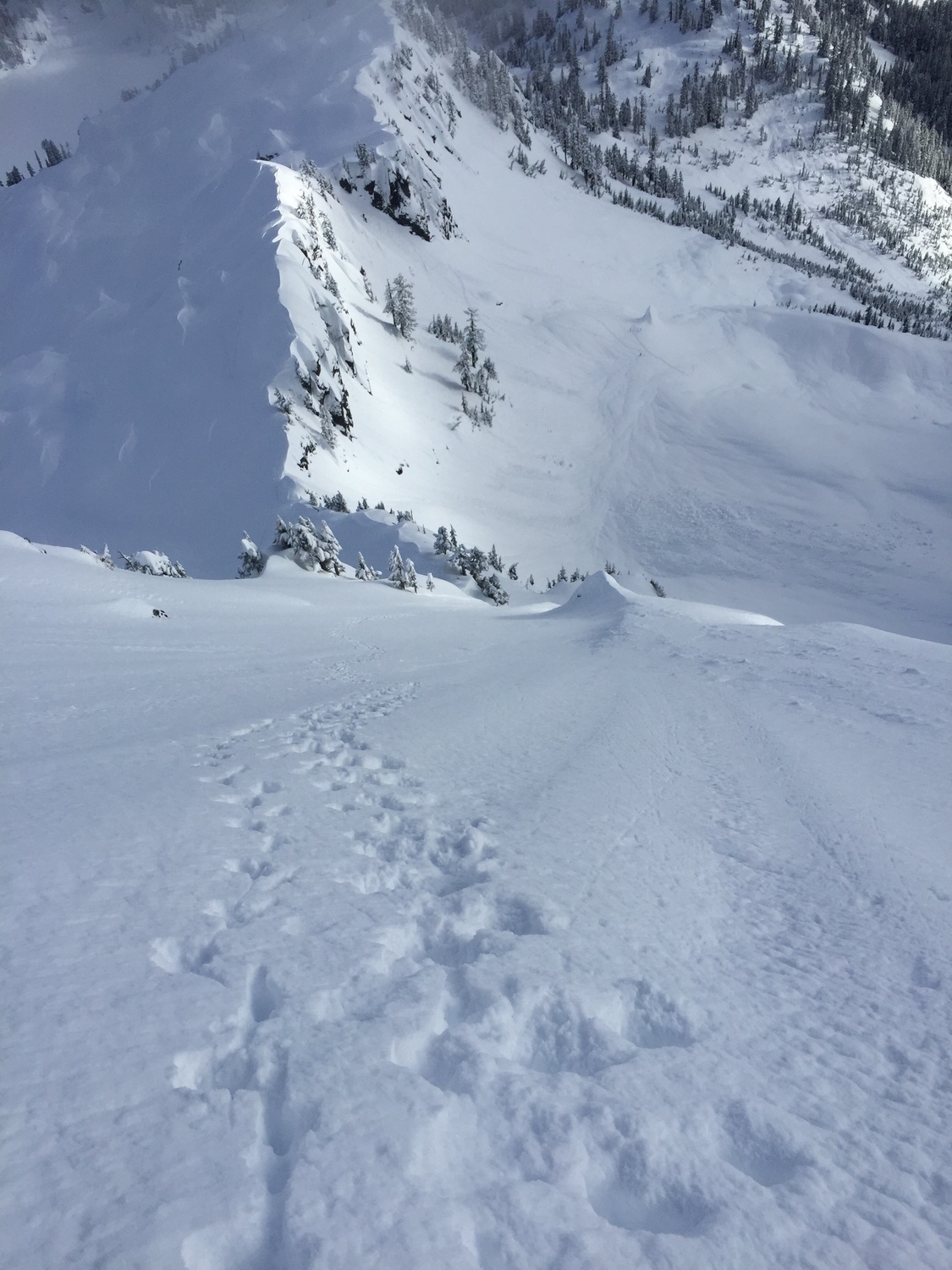 Lower snow slope. Pretty low angle and would be hard to fall off of