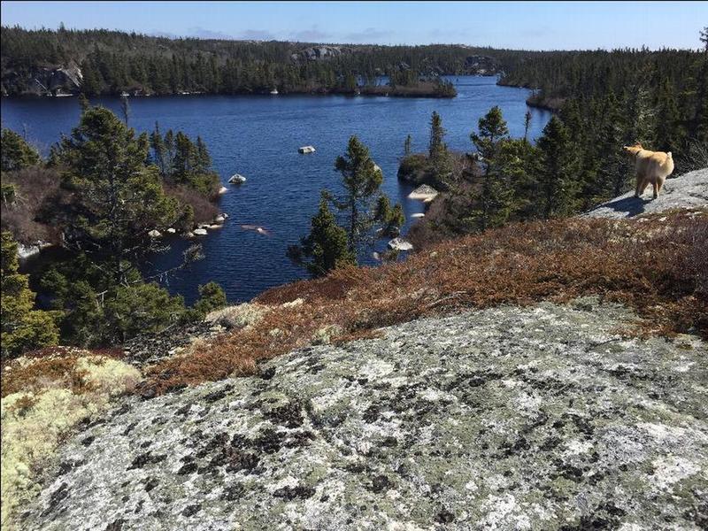 Rock Climbing in Gnar Wall, Nova Scotia