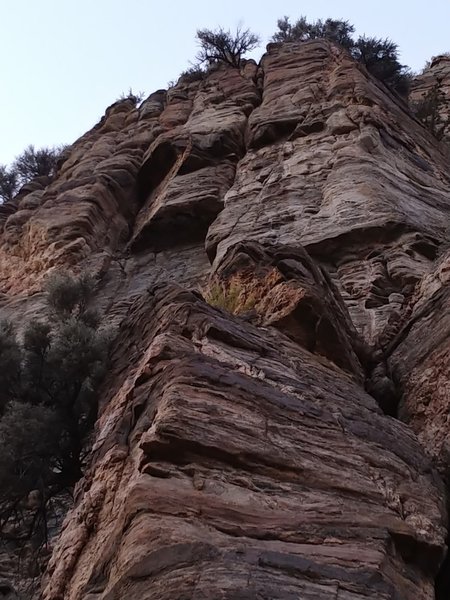 The Acid Wall is the Upper half of pic. Baby Bear Buttress is the lower ...