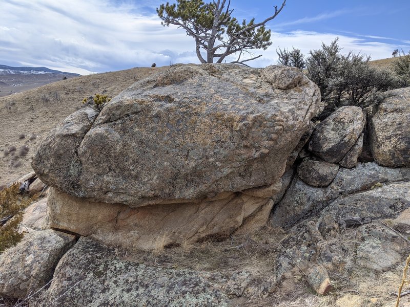 Climbing in Cage Fight Boulder, Southwest Region
