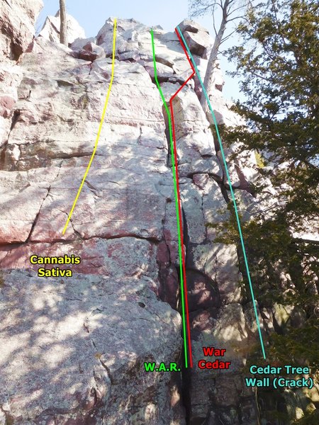 Rock Climb Cedar Tree Wall, Devil's Lake
