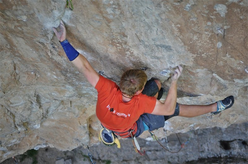 Rock Climb The Crew, Rifle Mountain Park