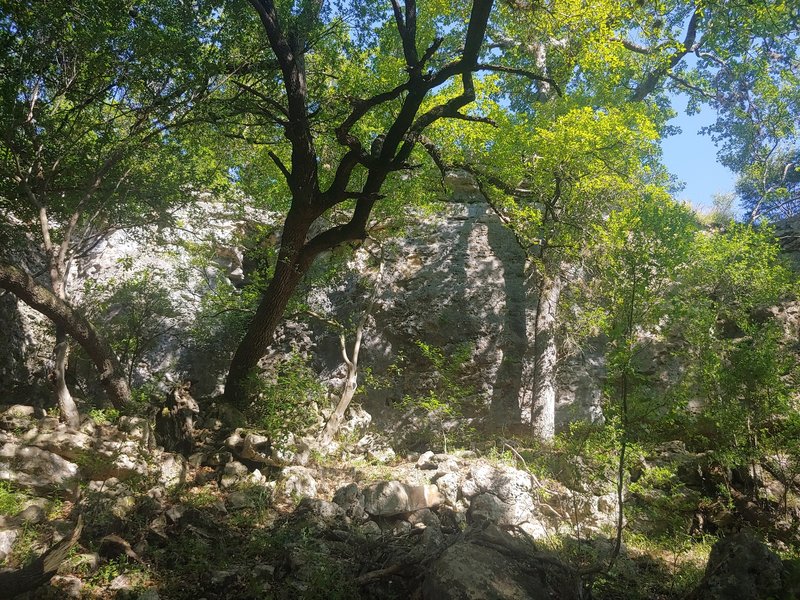 Rock Climbing in Philosophy Wall, Austin Area