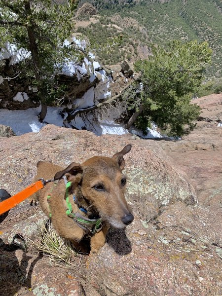 Rock Climb Standard S Route, Sandia Mountains