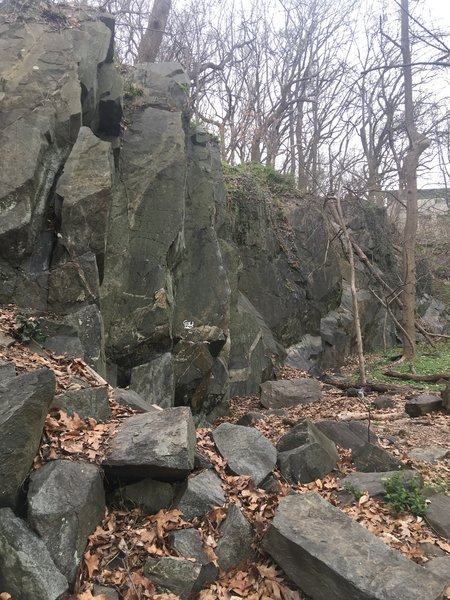 Climbing in Embassy Row Boulders, Rock Creek Park (Washington DC)