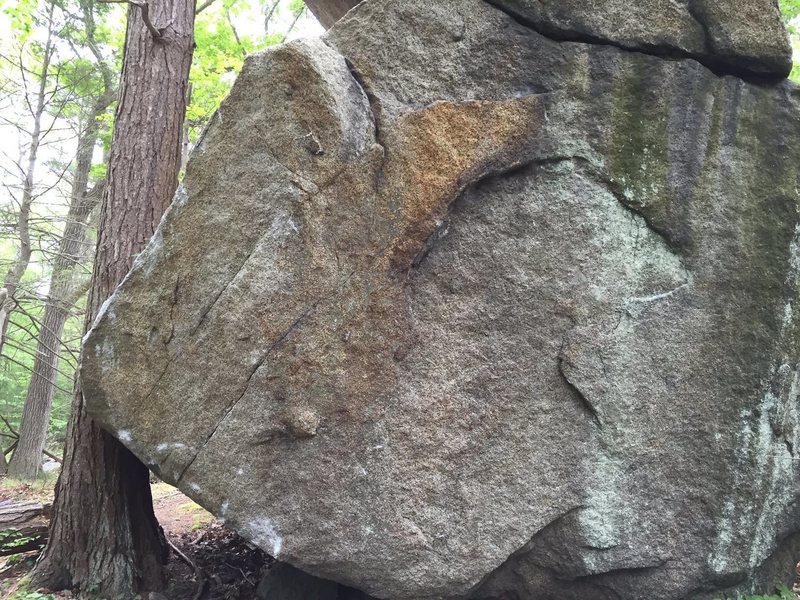 Climbing in Monster Boulder, North Shore