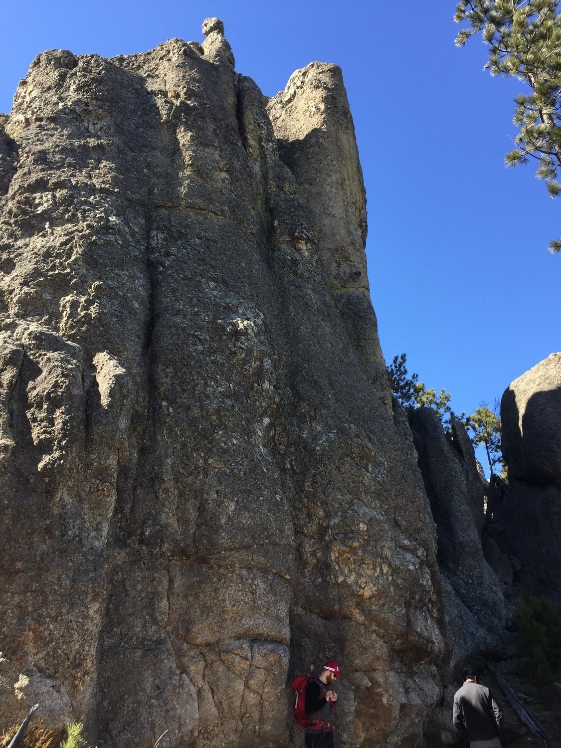 Side profile of Super Pickle. Stupid Pickle is directly above bearded man