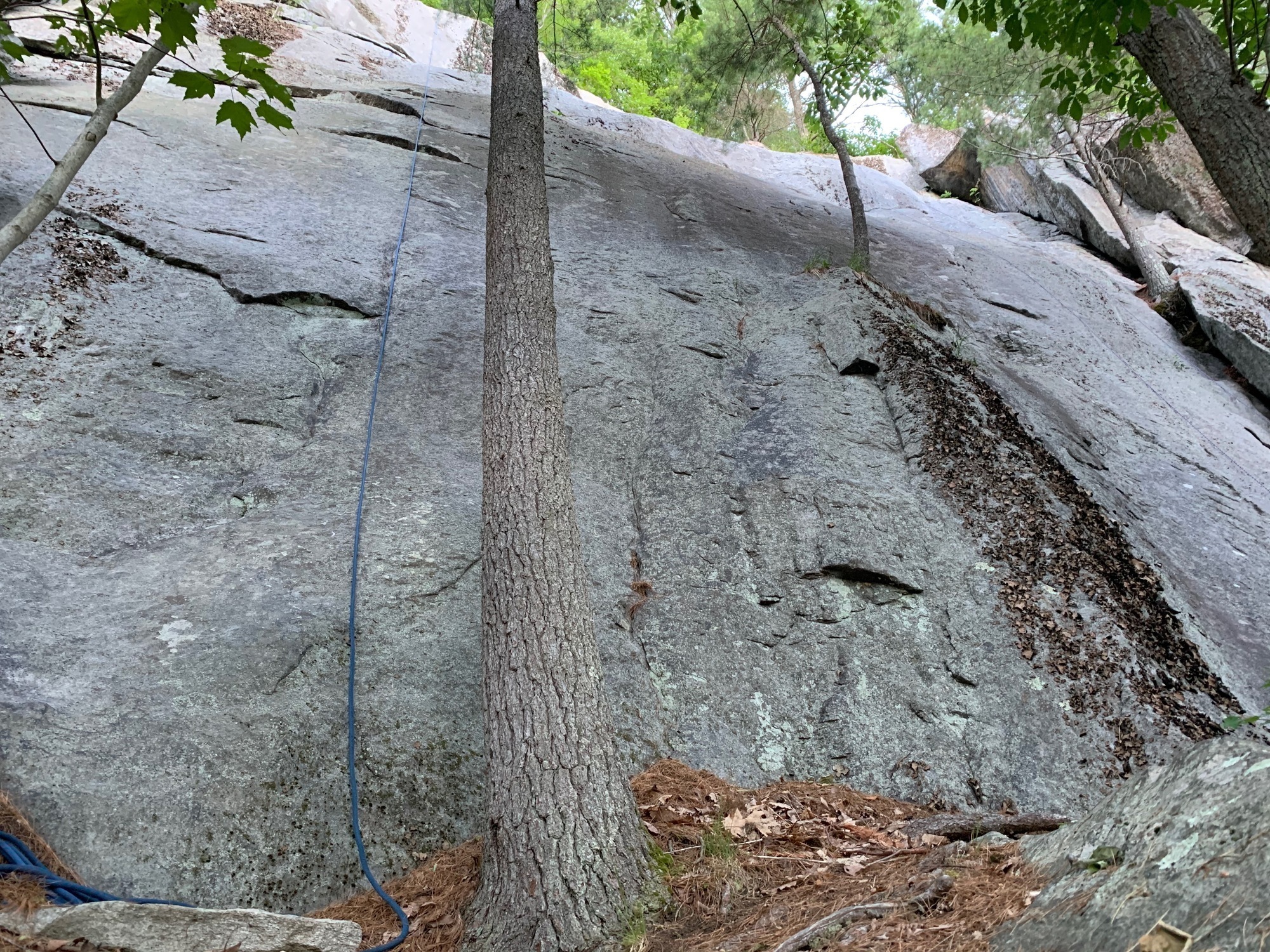 The main face. The near rope is on Eyeless in Gaza (5.11). The far rope ...