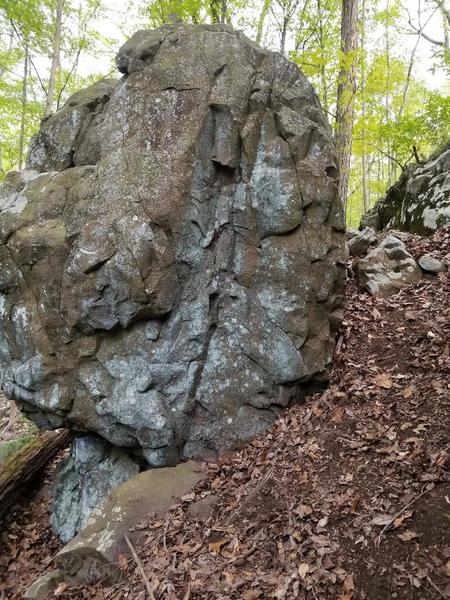 Climbing in Over The Log Boulder, c. NorthEast