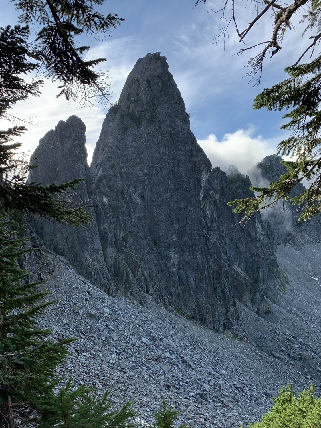 The Tooth viewed from across the choss bowl, to the southeast. Tree ...