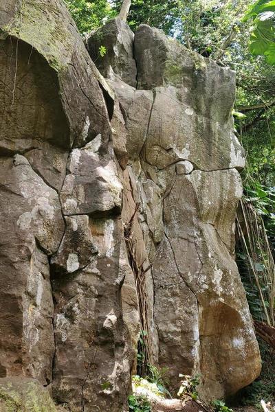 Climbing in Jungle Boulders, Oahu