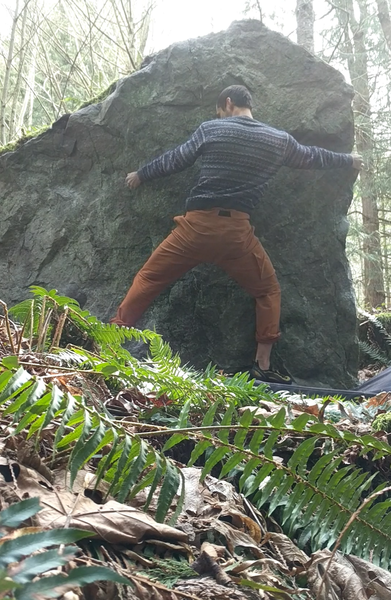 Climbing in David Boulder, Northwest Region