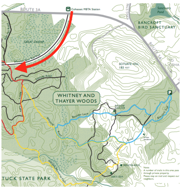 Bouldering in Whitney Spur Rail Trail Area, South Shore, Cape, and Islands