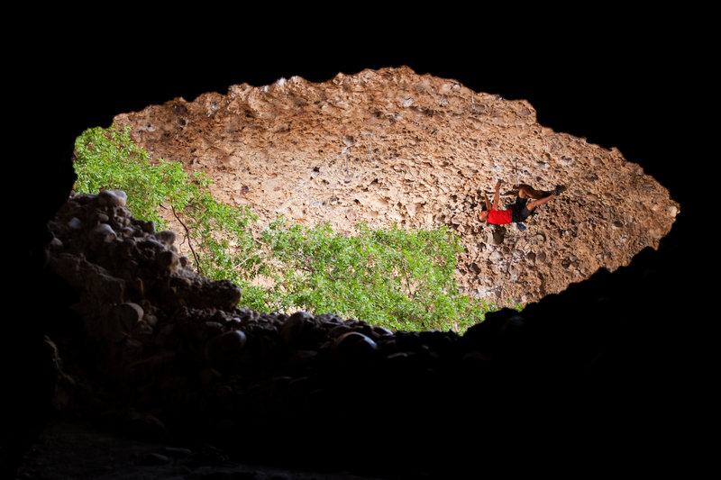 Ryan Stott on Sprout