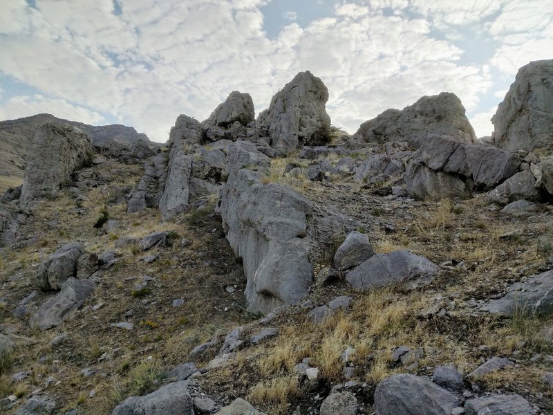 Lots of sharp rocks to explore here