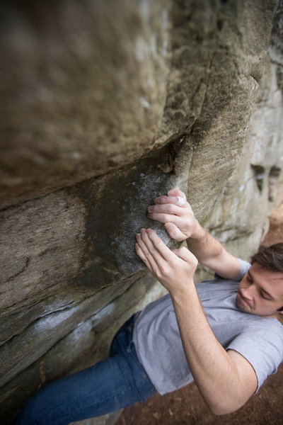 Spencer Fowler Working "Florida Man", V3