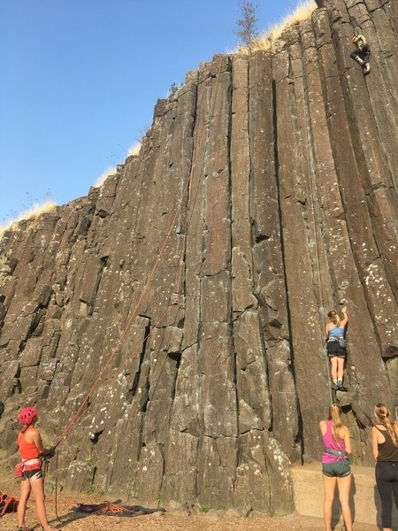 Main Buttress Overview with column numbers