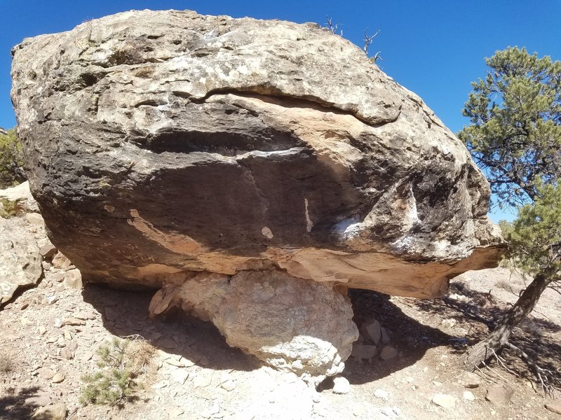 Start on the rock. Get to the top. Don't touch the dirt, otherwise it ...