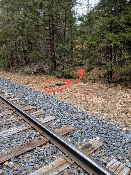 Bouldering in Aberdeen Quarry (South), Northern Highlands