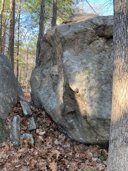 Climbing in Quarry Road Boulder, North Shore