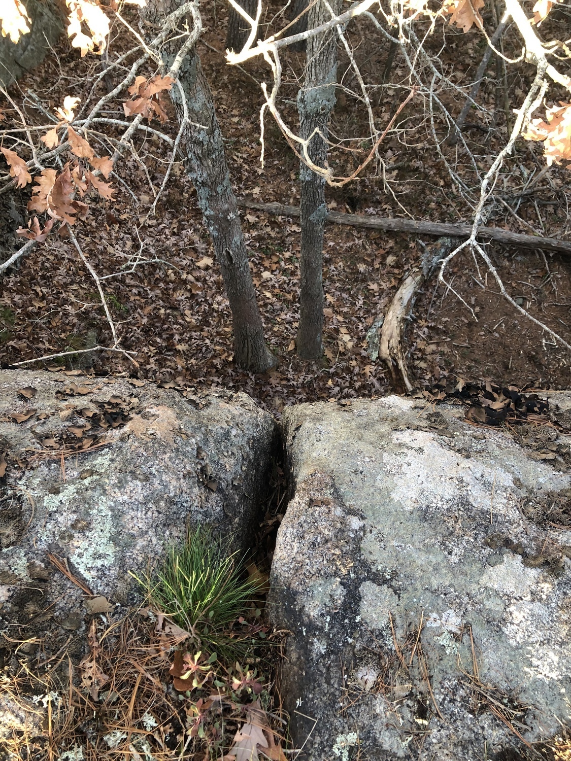 Fist jam finish from the top.