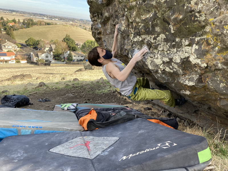 Climbing in DNA Boulder, San Francisco Bay Area
