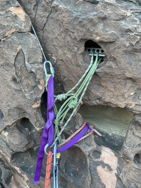 A titon in the wild at the second rap anchor on the walkoff descent ...