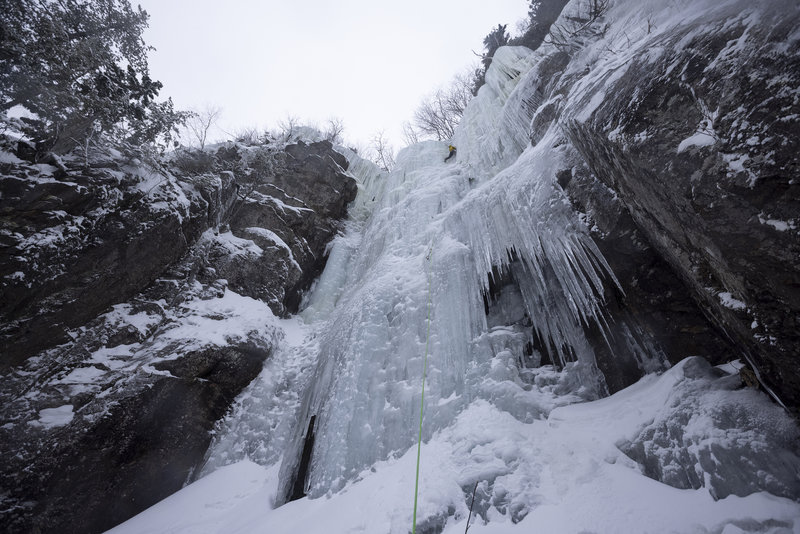 A shot of Dracula that actually looks like the vampire with his arms ...