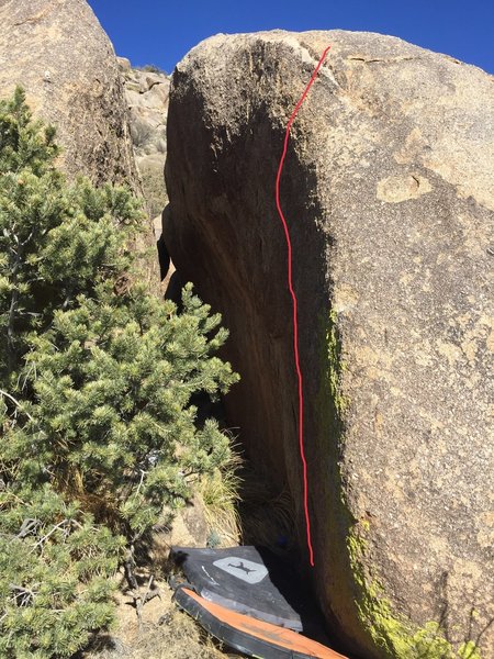 Climb Everybody Rides the Carousel, Albuquerque Area