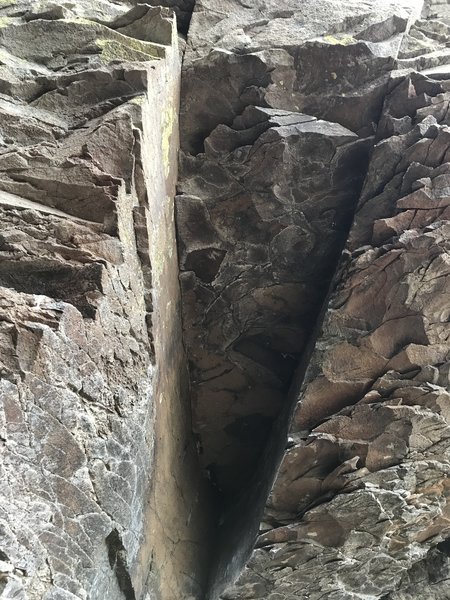 The very sharp crack that gives it the name if you don't draw blood at ...