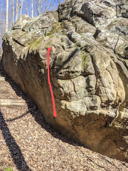 Bouldering in Mellow Mushroom, Foxtown Boulders