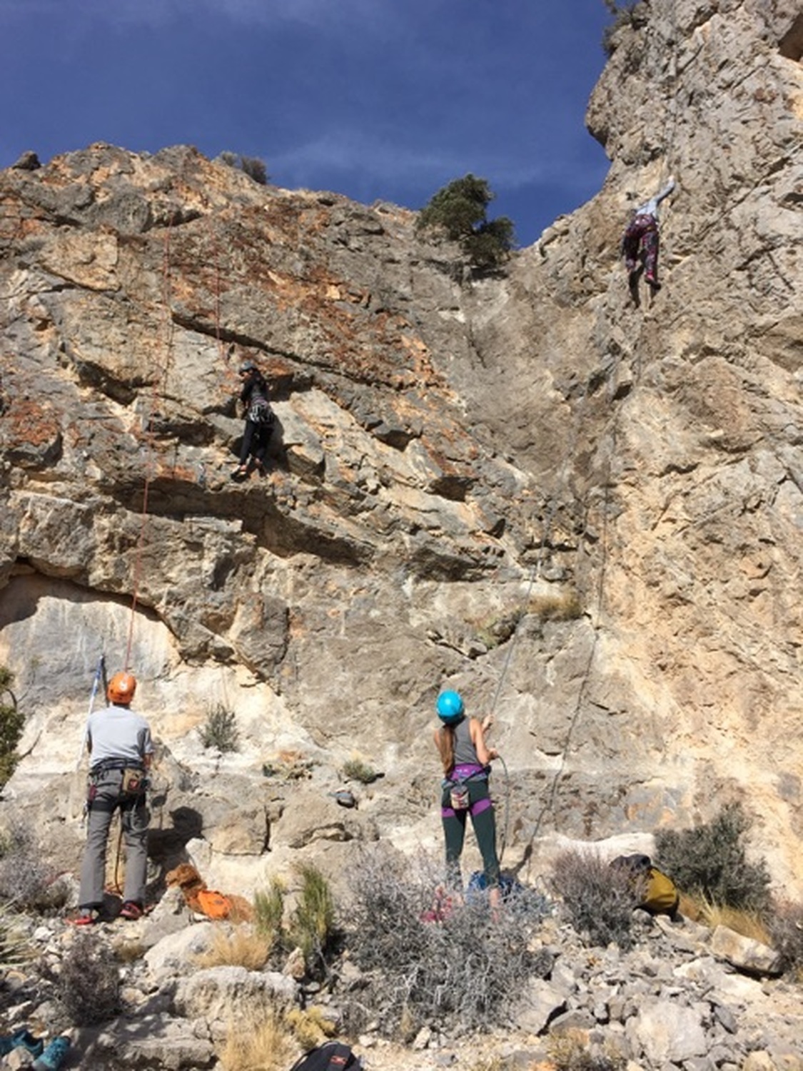 Sharp, bark-like chert on Petrified Wood (left) and thin vertical ...