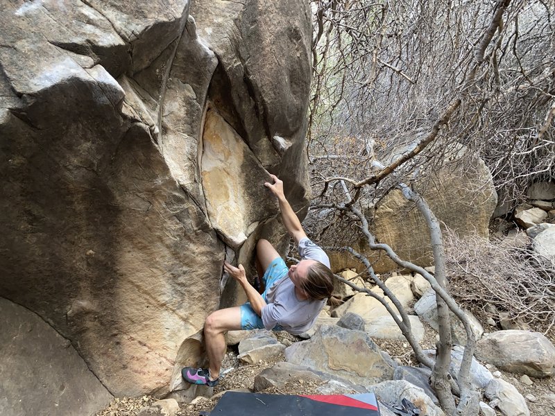 Climb Watermark, Red Rock