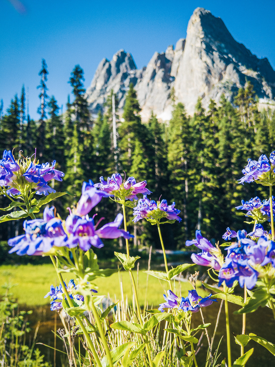 Liberty Bell group in all it's glory