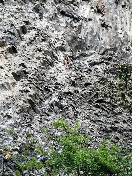 Rock Climb Pura vida mae - extensión, Cachi