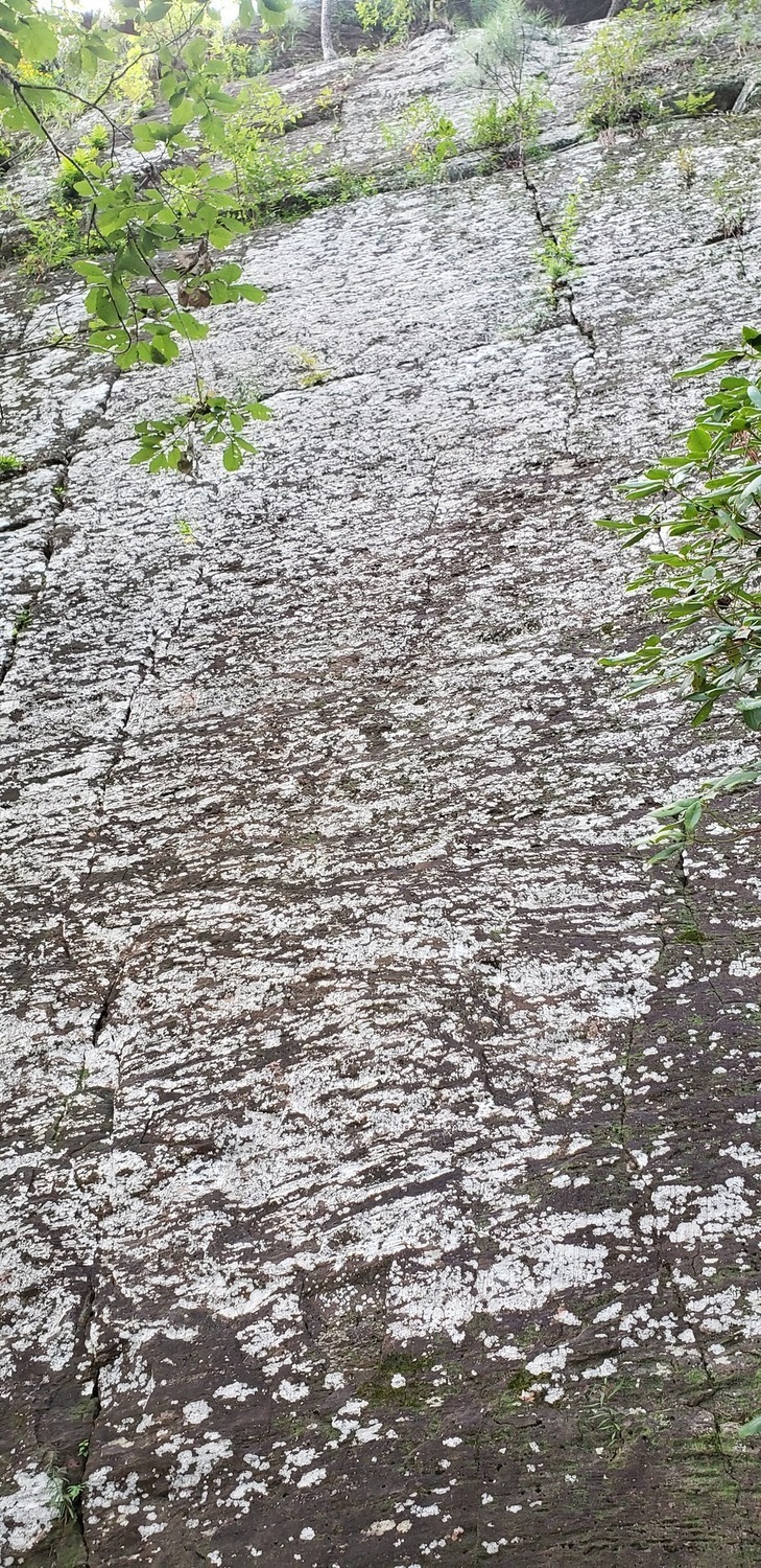 Middle of slab and dab wall