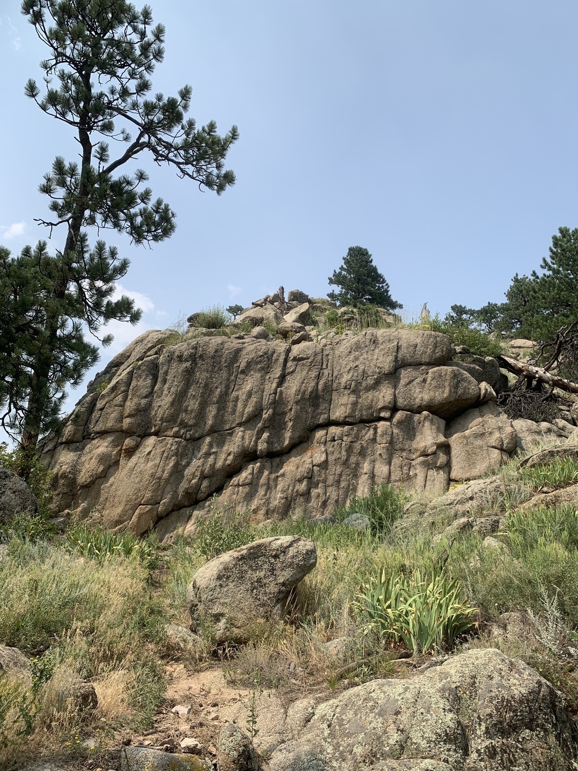 The Dome Boulder from about 30 feet back.