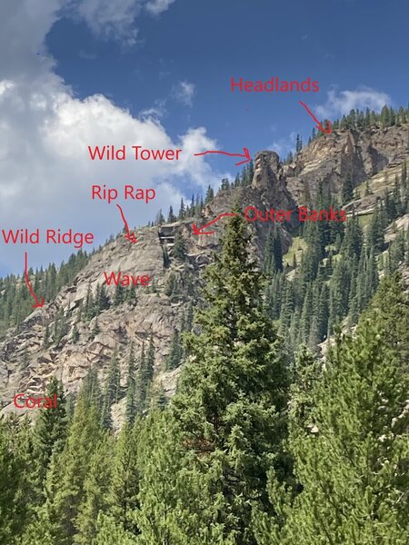 Wild Zone overview.