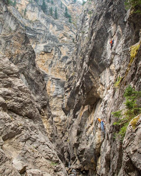 Rock Climbing in Always on belay wall, Alberta