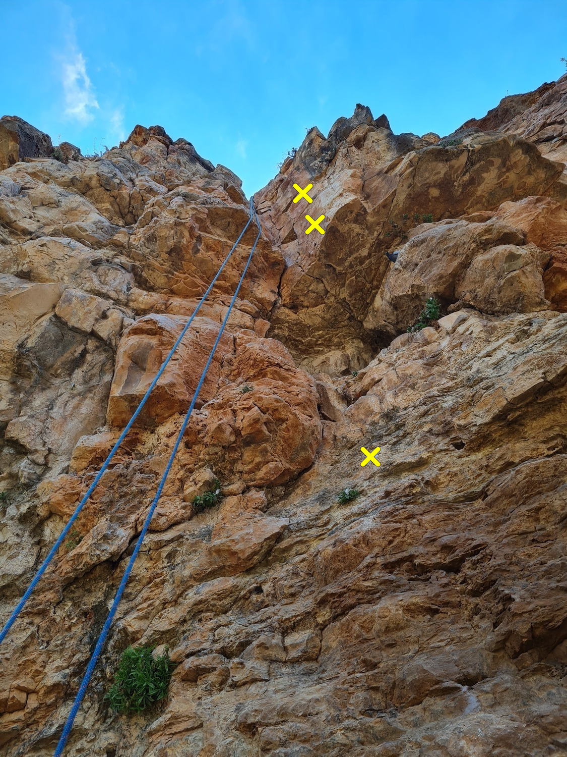 Bolt line to the right of the crack, rope is threaded through the anchors.