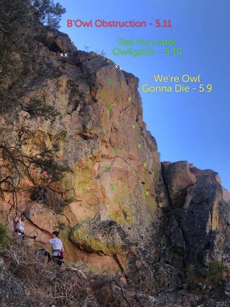 Rock Climbing in B'Owl Obstruction Wall, Western Nevada