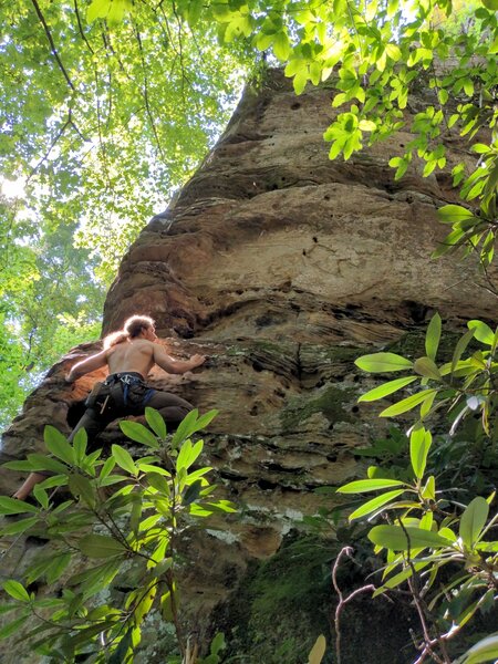 Rock Climb When Rats Attack, Red River Gorge