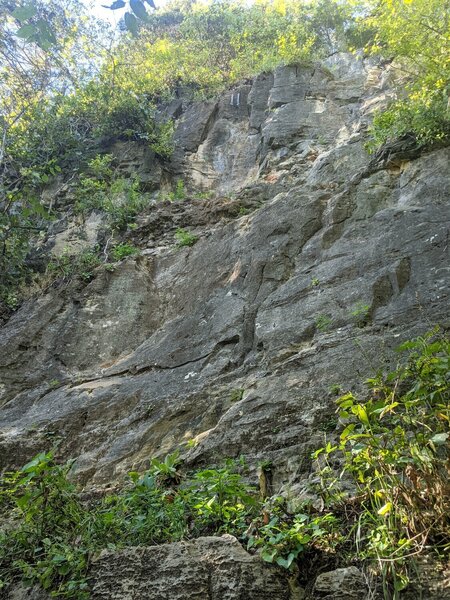 Rock Climb Buffalo Trace, EM: Robinson Bluff