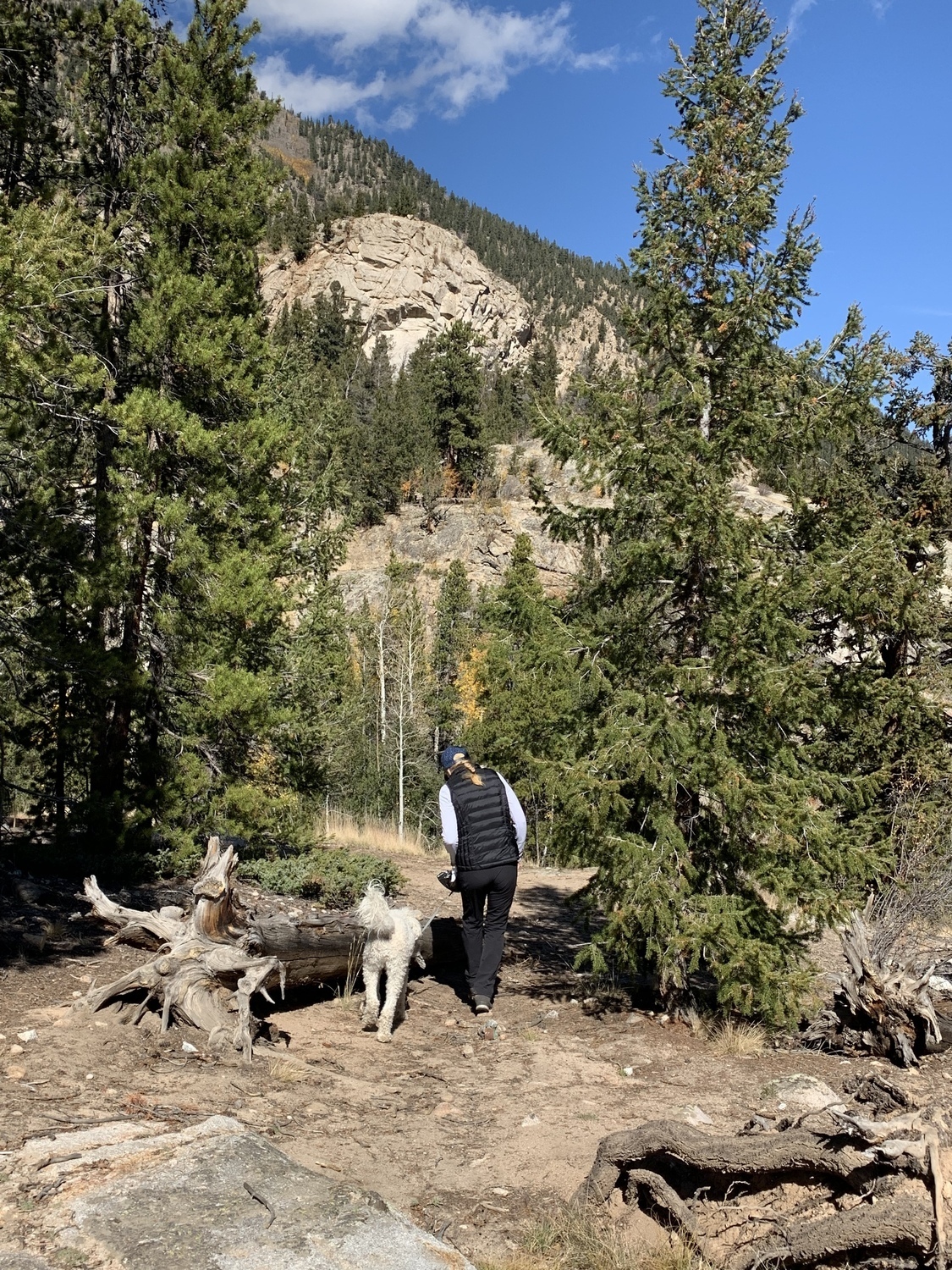 Outlook Rock is obvious in the upper center of the picture. We're not ...