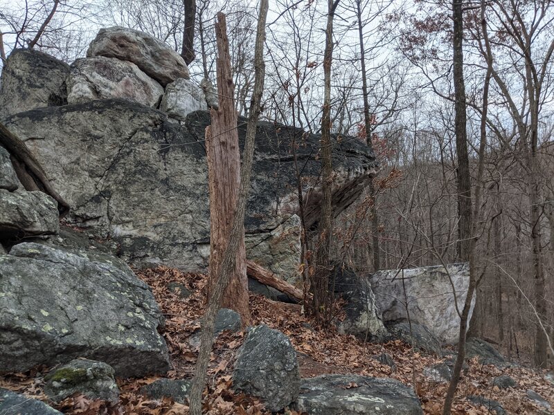 Climbing in Rachel Carson Conservation Park, Rachel Carson Conservation ...